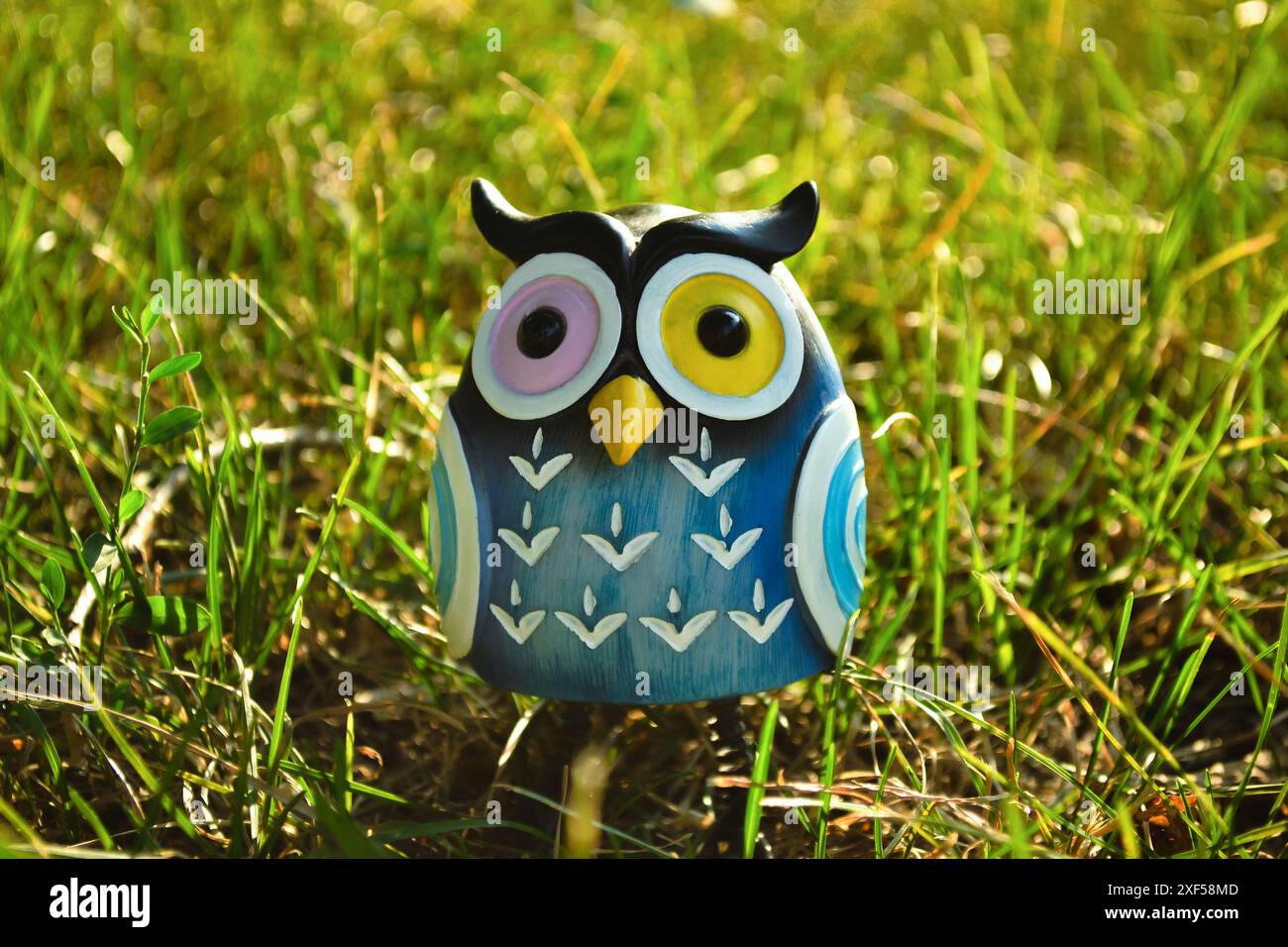 A toy of a surprised blue-colored owl with multi-colored eyes close-up ...