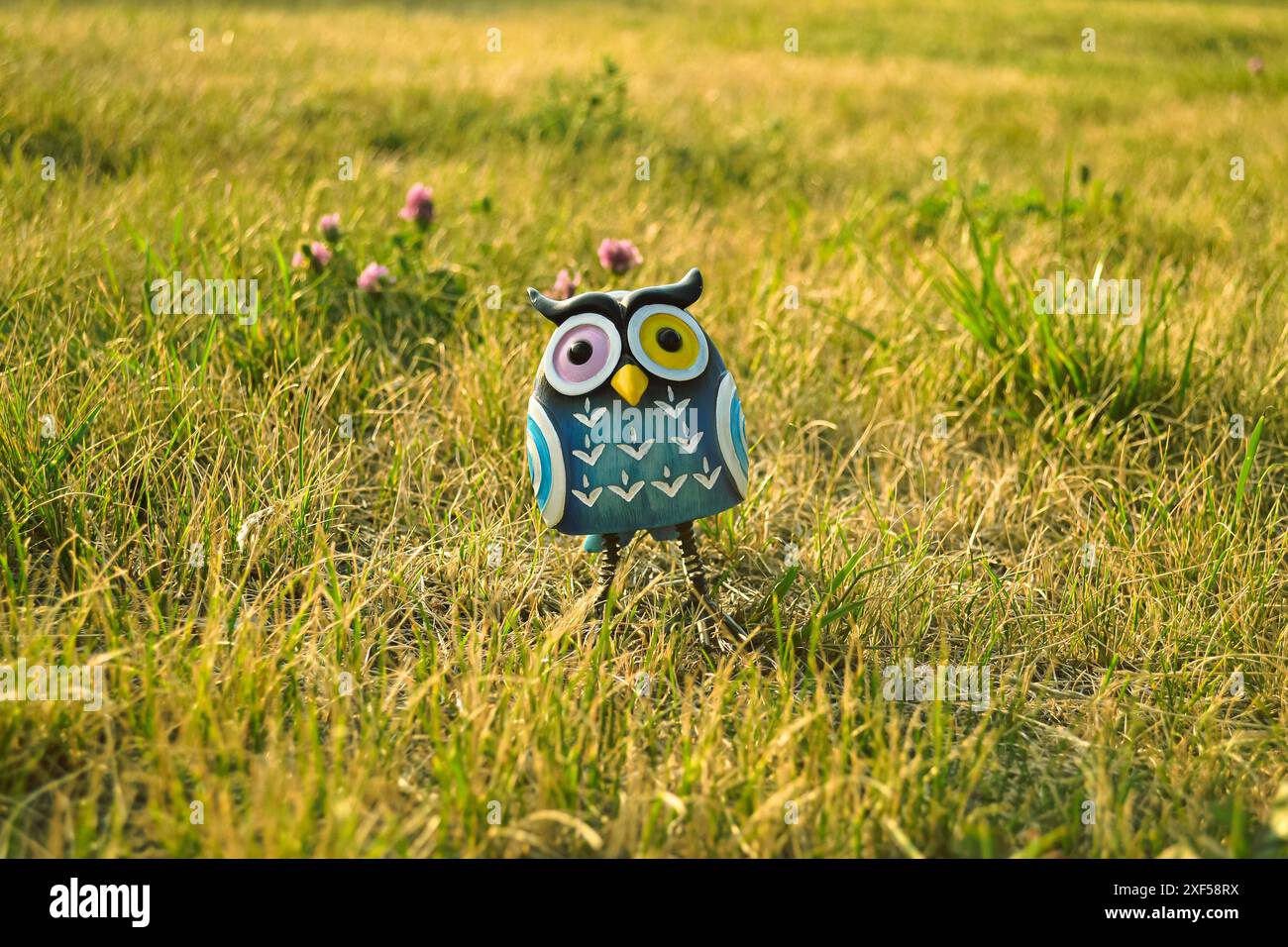A toy of a surprised blue-colored owl with multi-colored eyes close-up ...