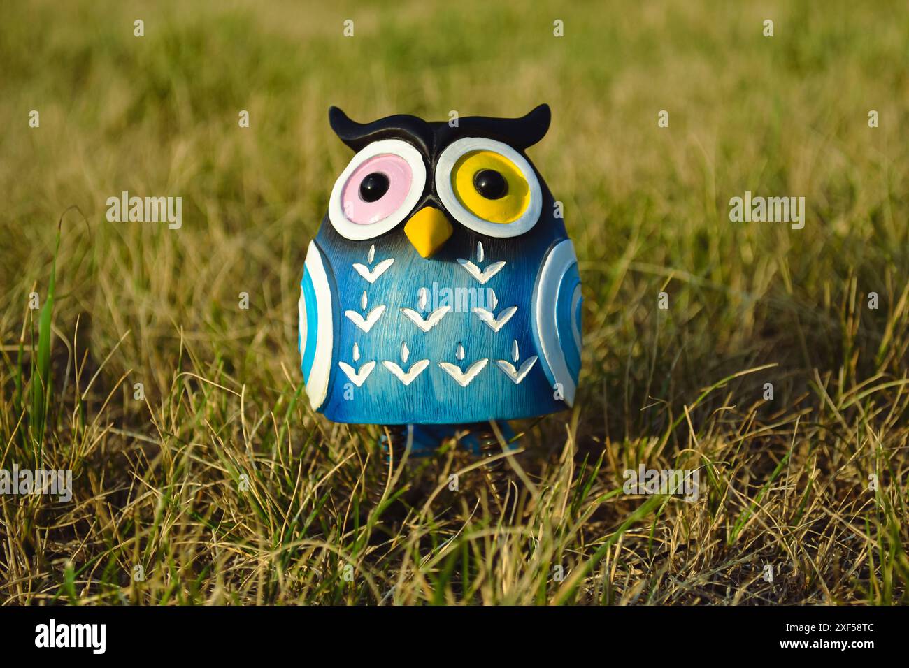 A toy of a surprised blue-colored owl with multi-colored eyes close-up ...
