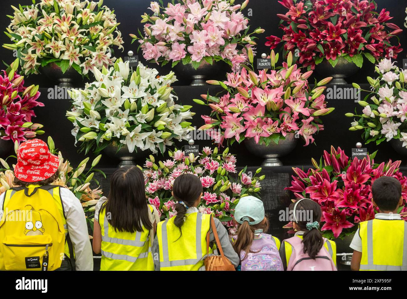 Manor park sutton hi-res stock photography and images - Alamy