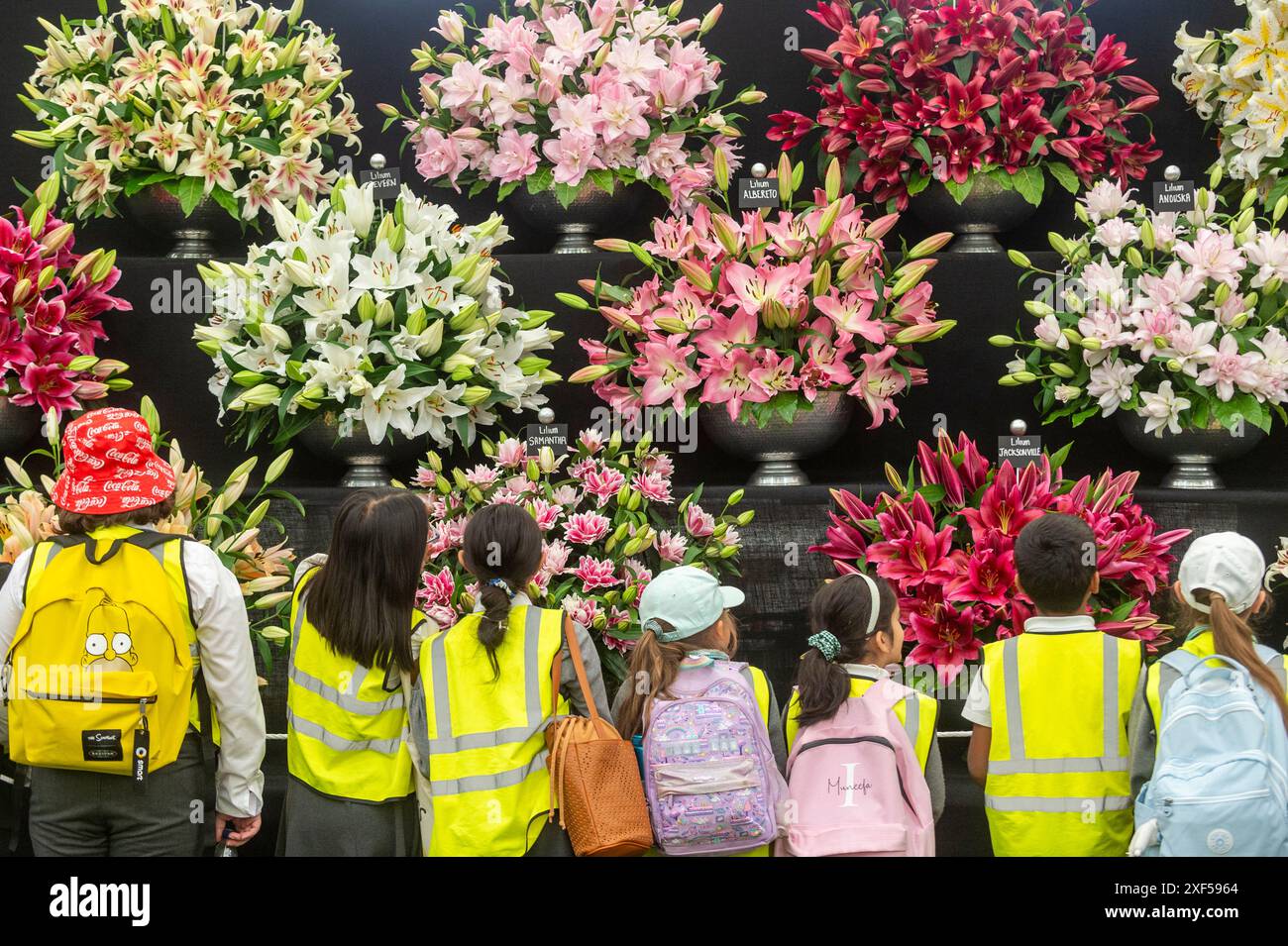 Manor park sutton hi-res stock photography and images - Alamy