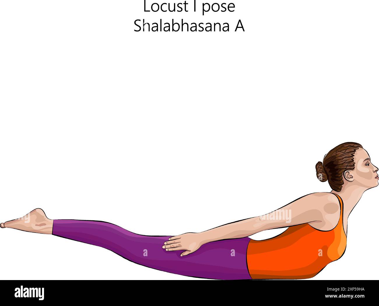 Young woman practicing Shalabhasana A yoga pose. Locust I pose ...