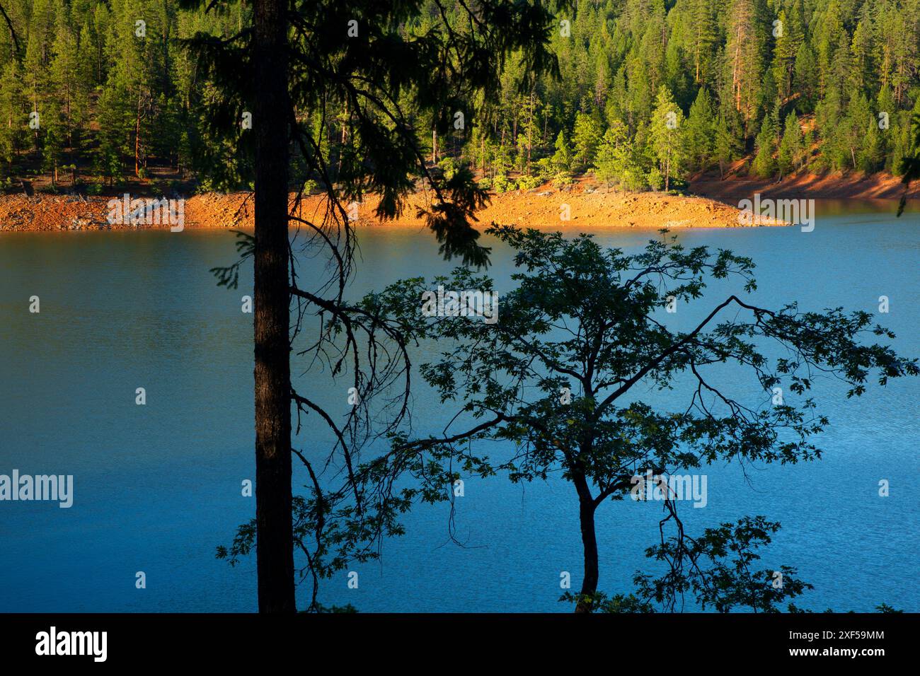 Trinity Lake, Whiskeytown-Shasta-Trinity National Recreation Area ...