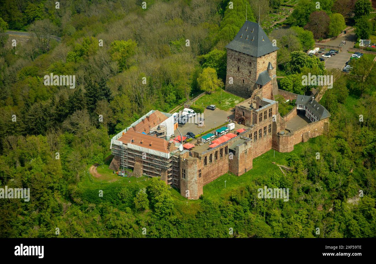 Aerial view, renovation work on the ruins of Nideggen Castle in the ...
