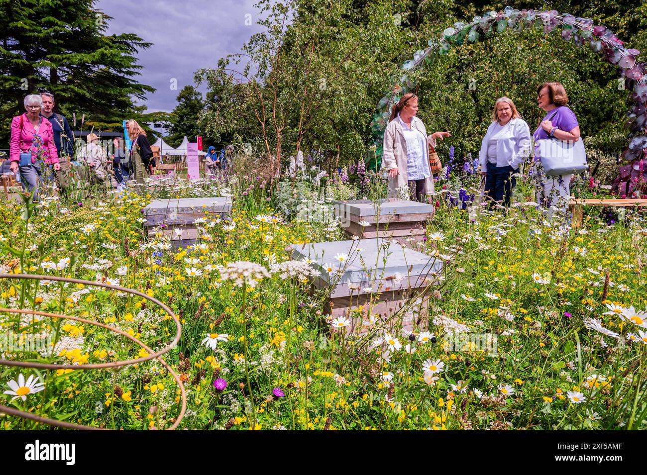 London, UK. 1st July, 2024. The RHS Britain in Bloom 60th Anniversary ...