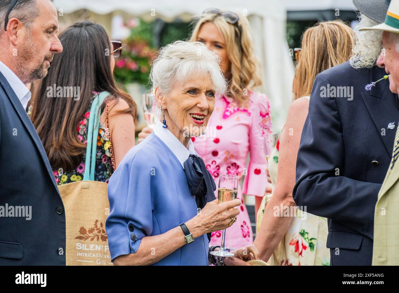 London, UK. 1 Jul 2024. Anita Dobson enjoys drinks for key guests on ...
