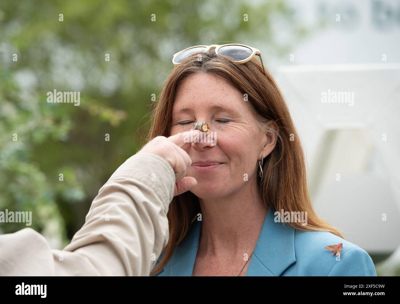 East Molesey, UK. 1st July, 2024. Sarah Mayfield has a Buff-Tip Moth ...