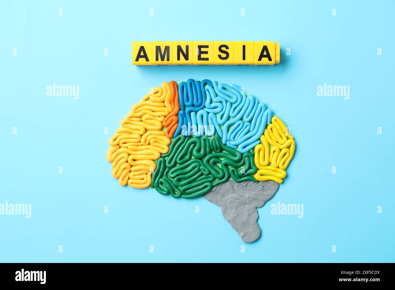Word Amnesia and brain with sections made of plasticine on light blue ...