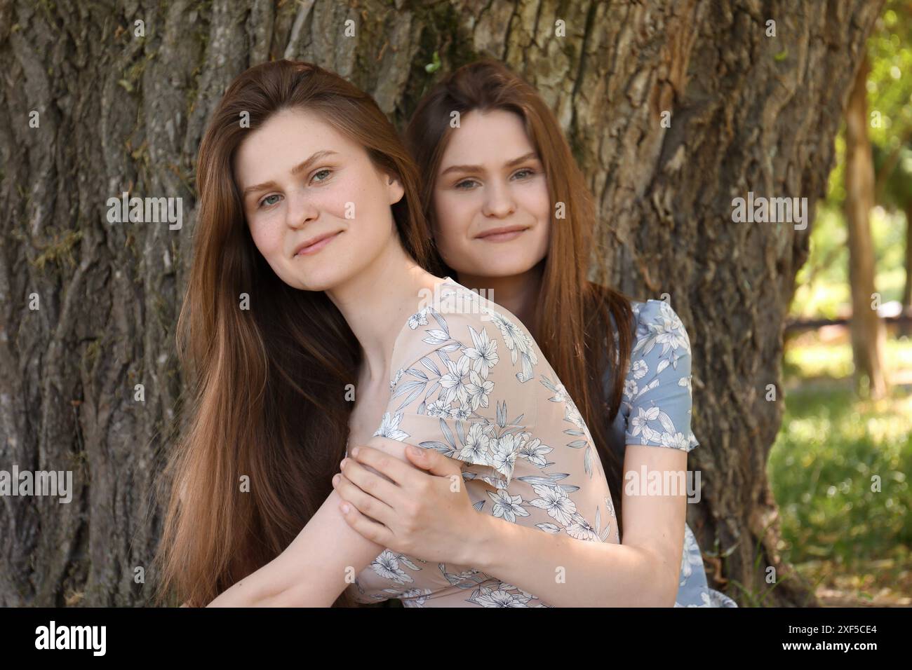 Two beautiful twin sisters near tree outdoors Stock Photo - Alamy