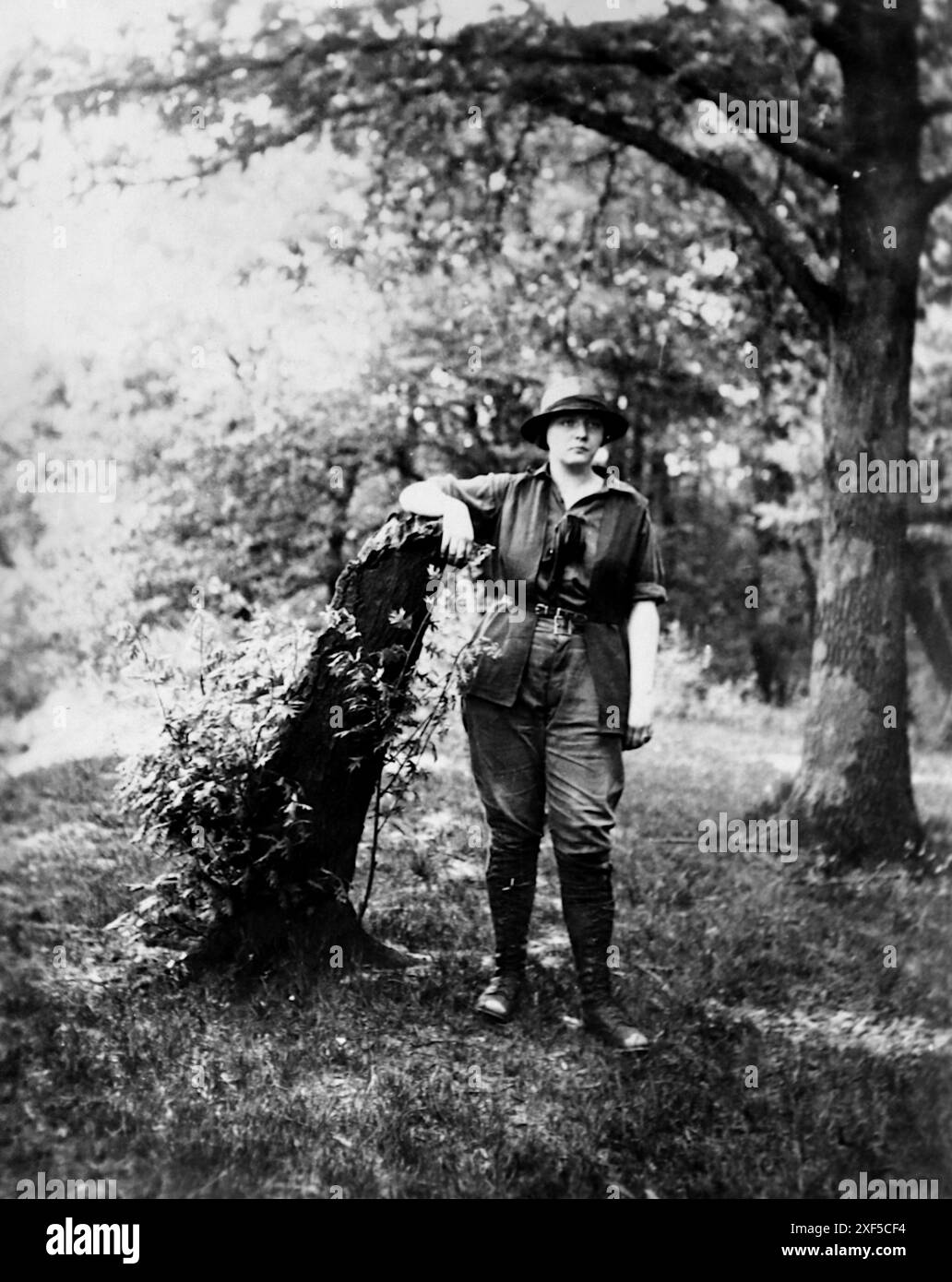 Fashion: An unidentified lady in a wooded area, resting on the stump of ...