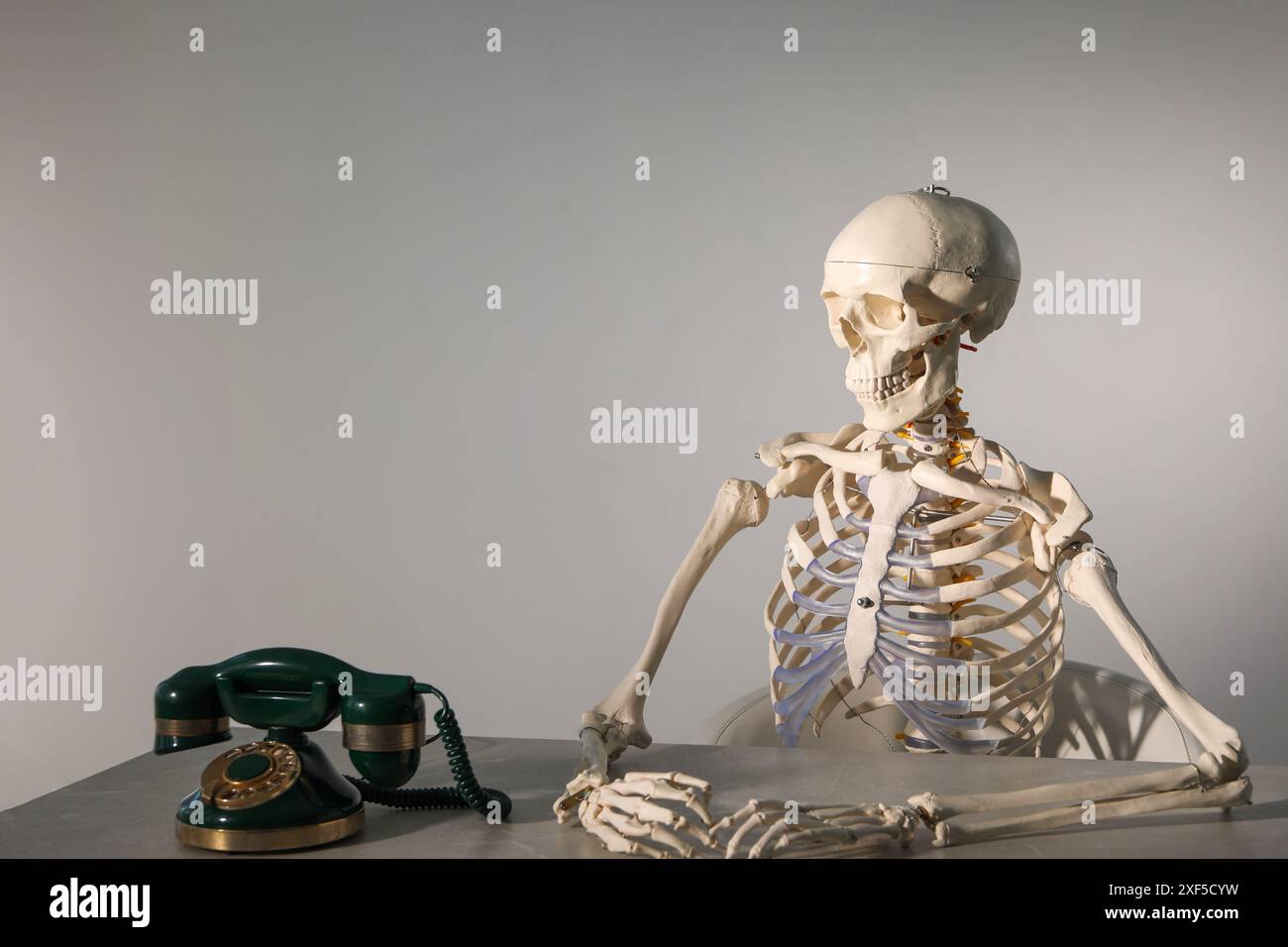 Waiting concept. Human skeleton at table with corded telephone against ...