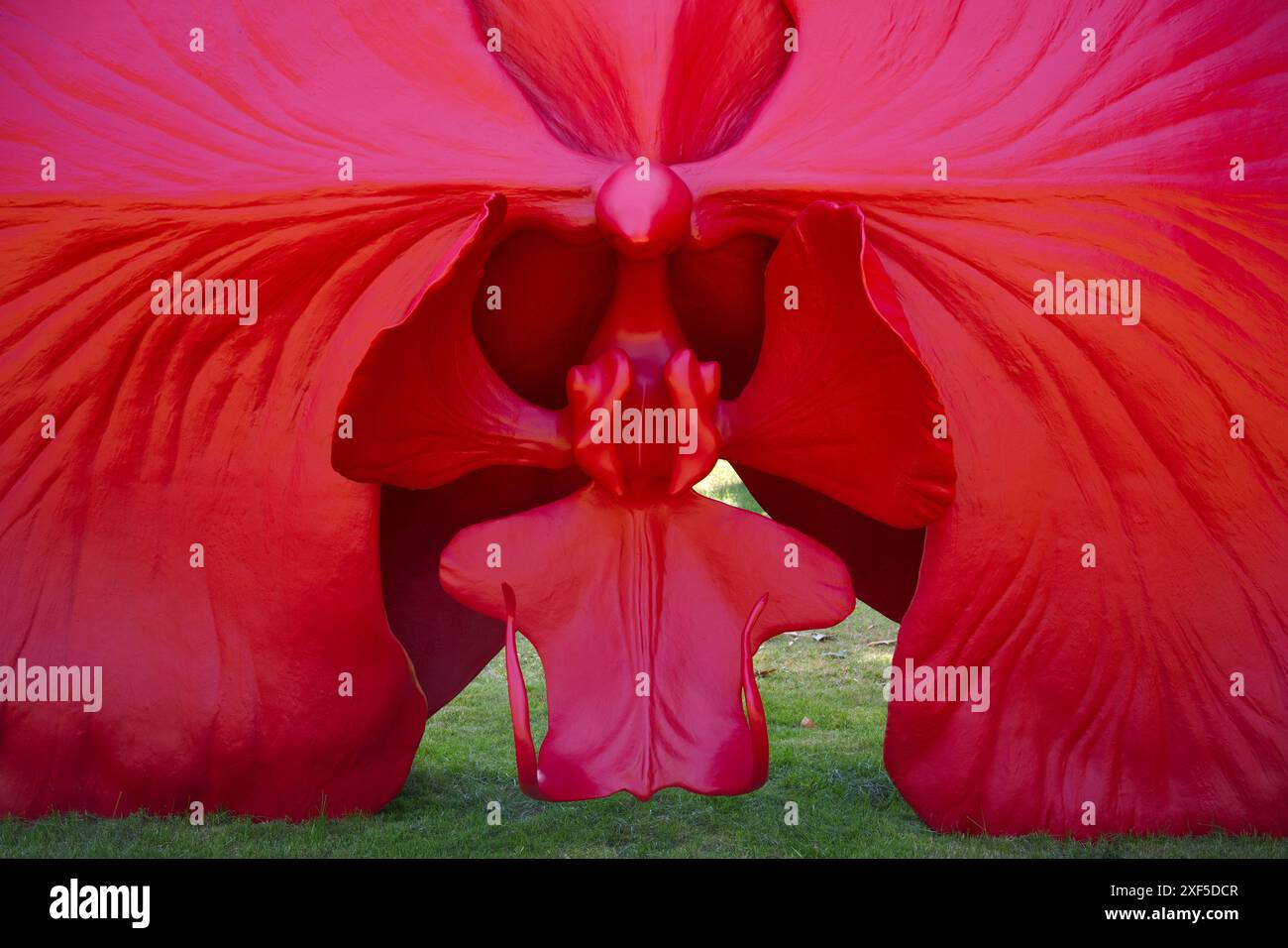 Evolution of life forms hi-res stock photography and images - Alamy