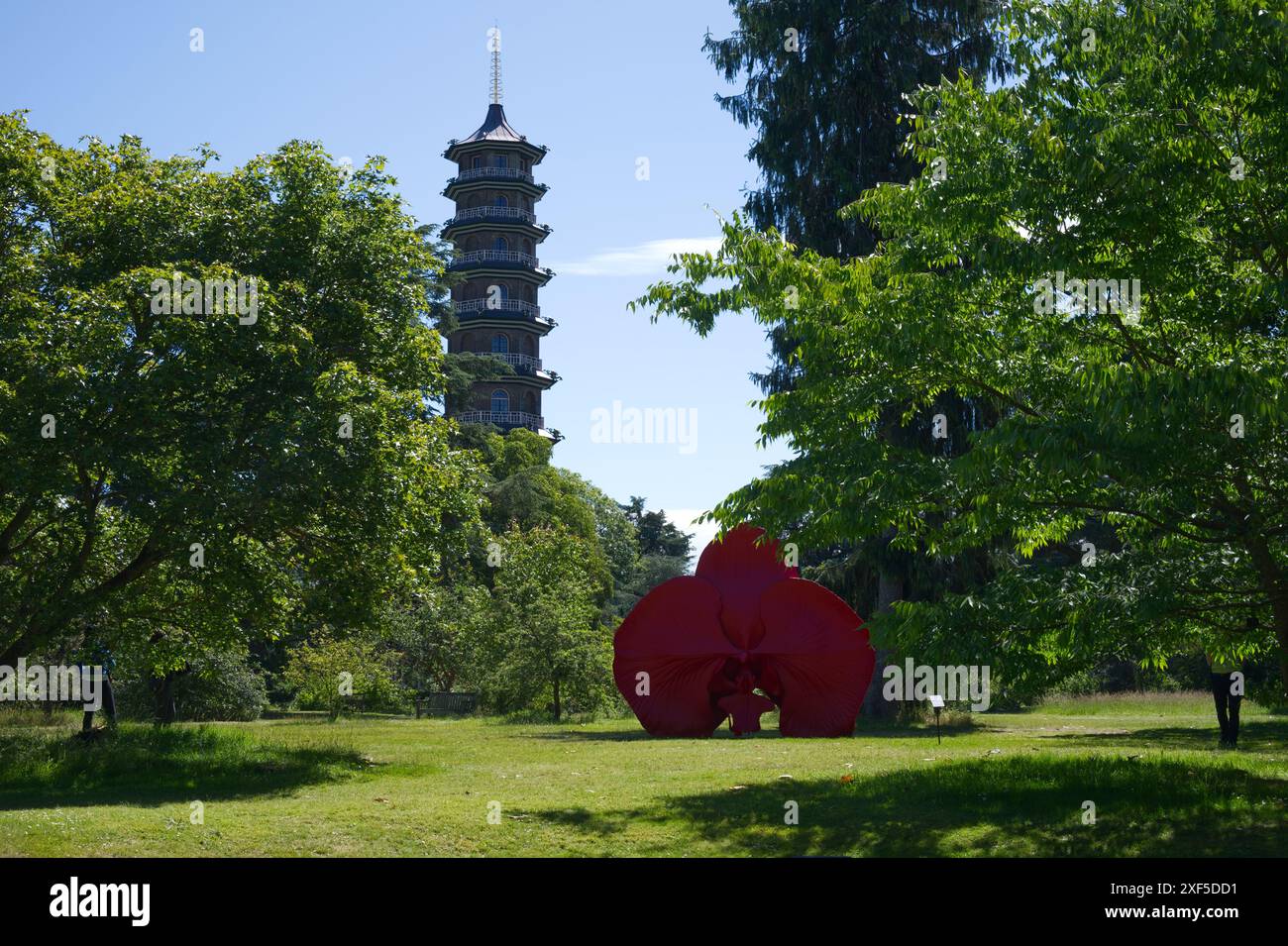 Light into Life (The Evolution of Forms) 2024 by Marc Quinn with the ...