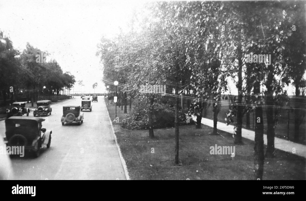 Transport: Cars on a tree lined road, Chicago 1920. From a photograph ...