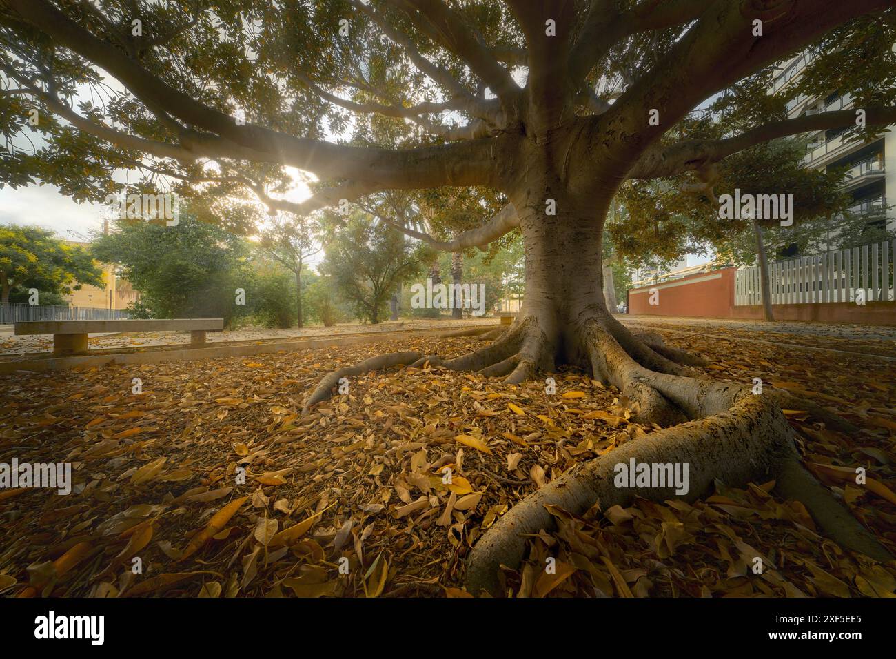 Hoja de tierra verde hi-res stock photography and images - Alamy
