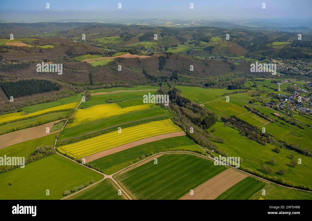 Aerial view, forest area and Dreiborn plateau nature reserve NSG ...