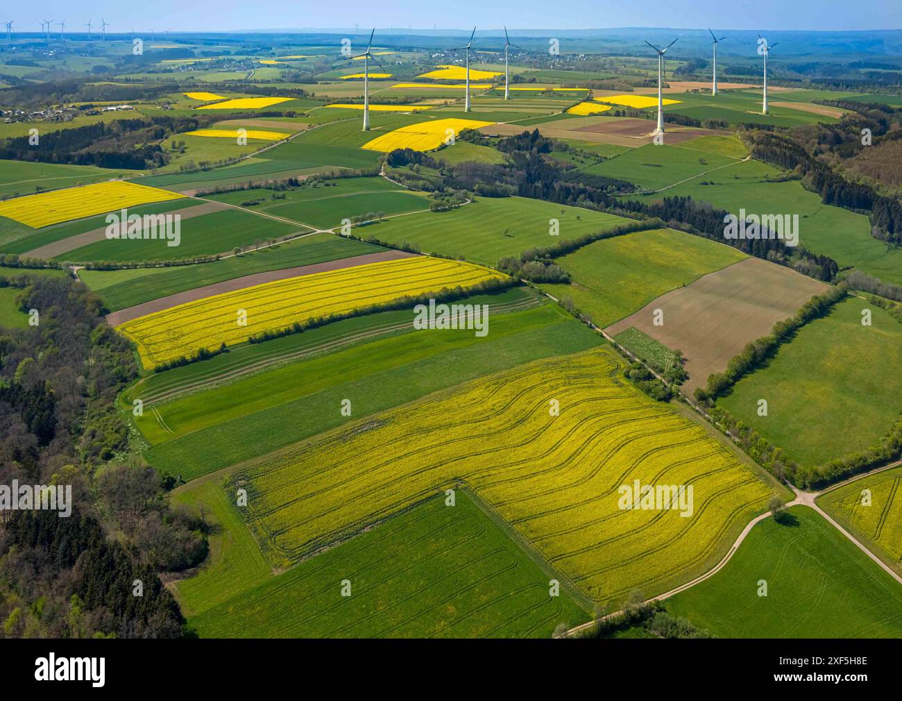 Dreiborn plateau hi-res stock photography and images - Alamy