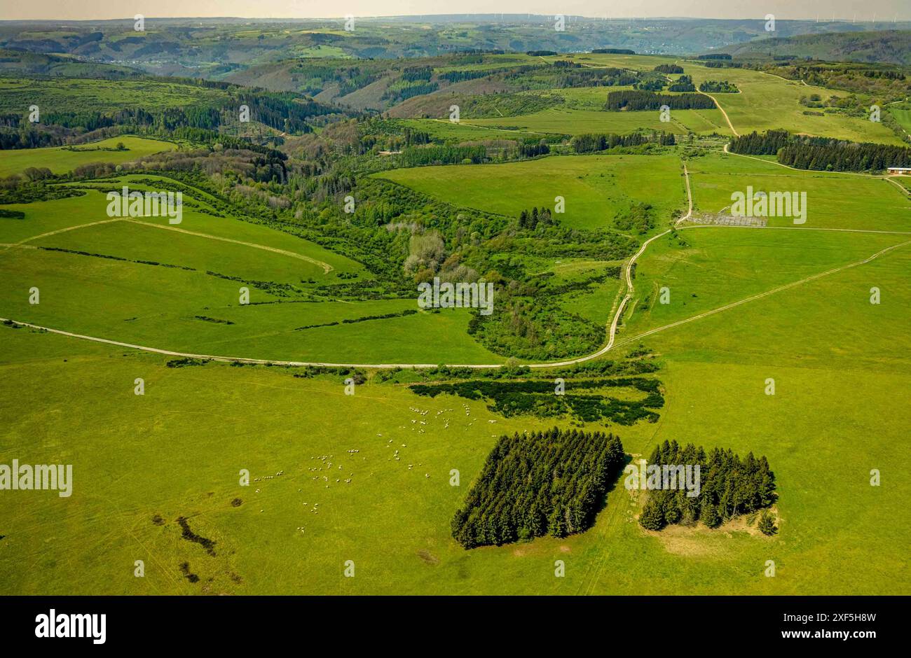Aerial view, wooded area and Dreiborn plateau nature reserve NSG ...