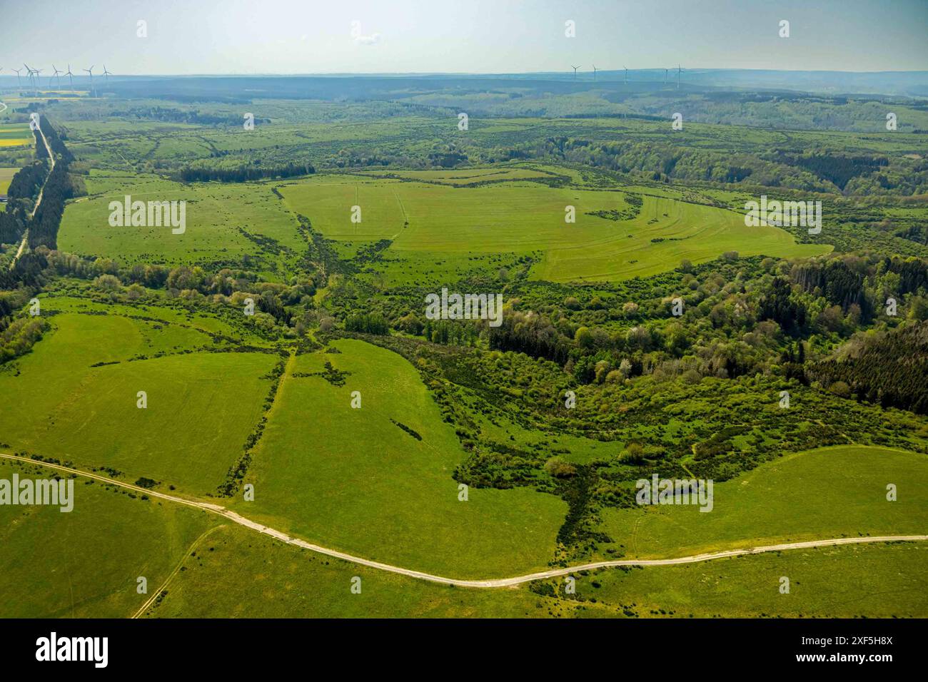Aerial view, forest area and Dreiborn plateau nature reserve NSG ...