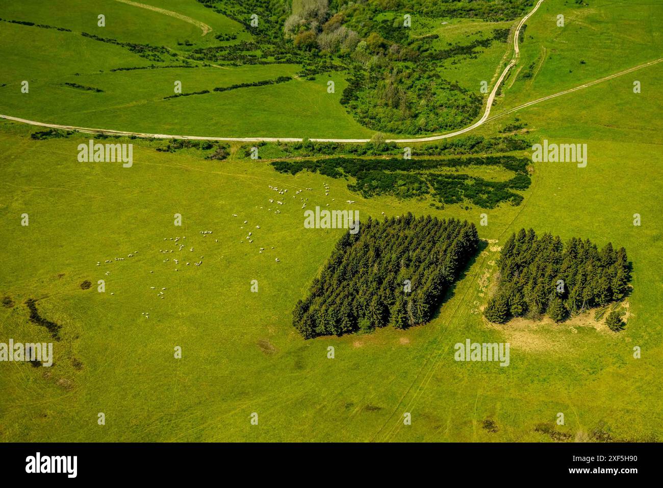 Aerial view, wooded area and Dreiborn plateau nature reserve NSG ...