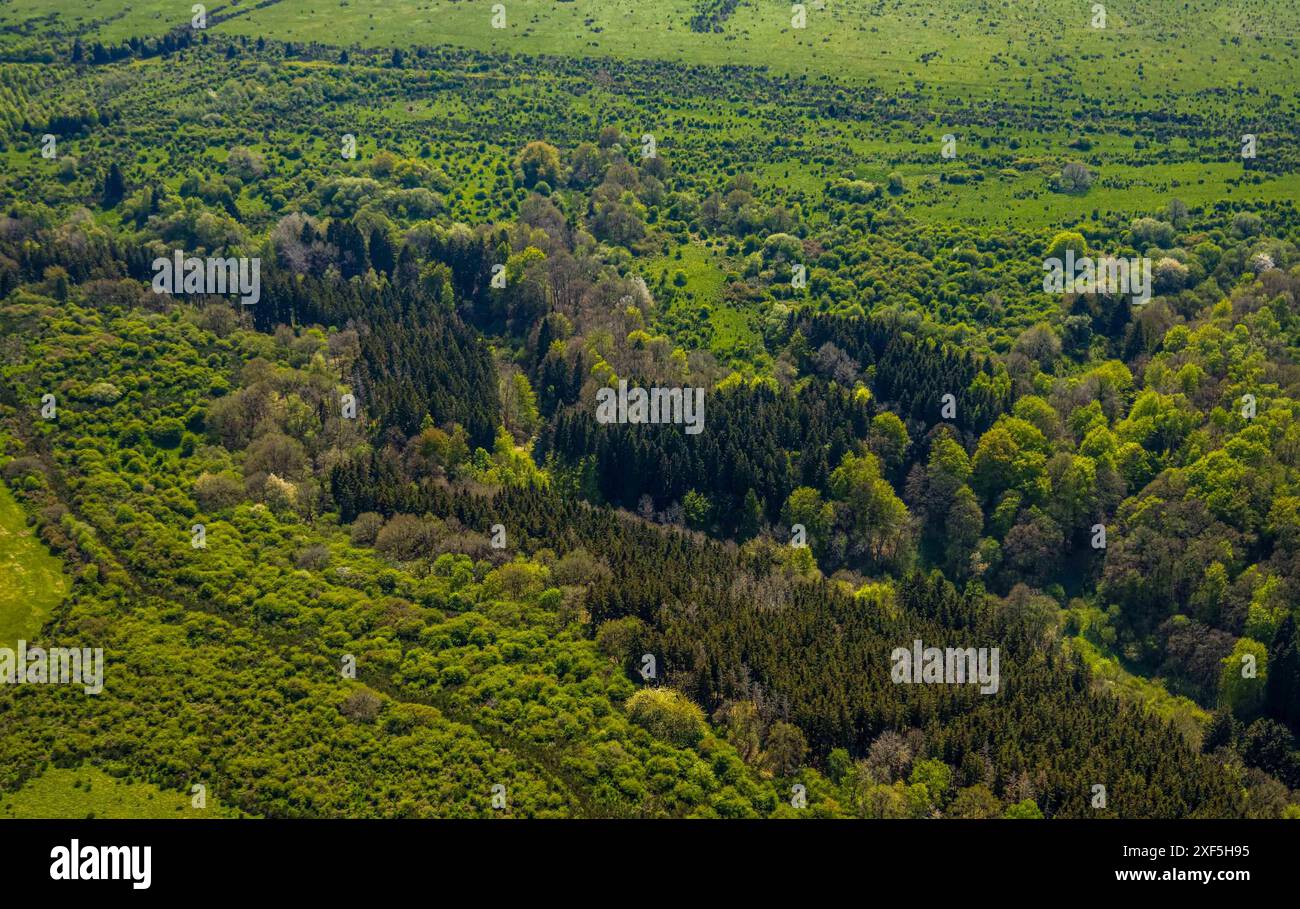 Aerial view, wooded area and Dreiborn plateau nature reserve NSG ...