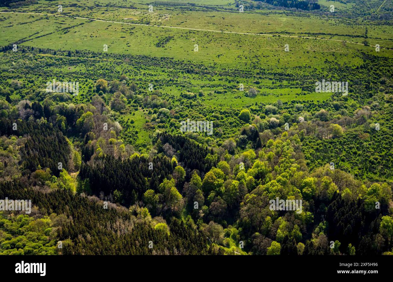 Wooded area and meadows in the eifel national park hi-res stock ...