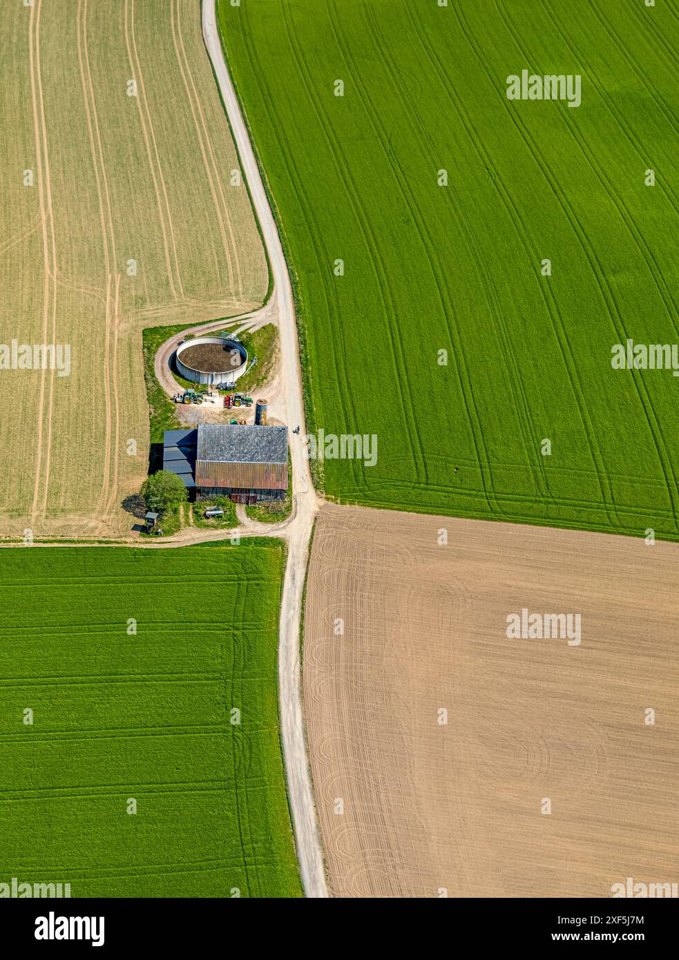 Tiled geometric structures hi-res stock photography and images - Alamy