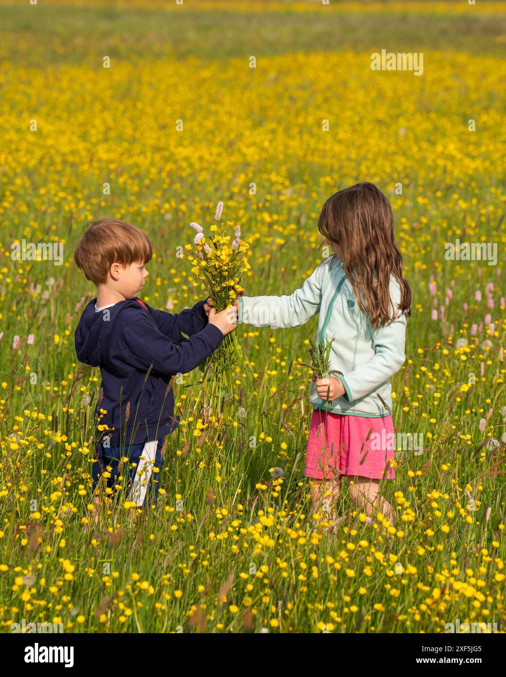 A cute little boy happily gives a girl a bouquet of wild flowers ...