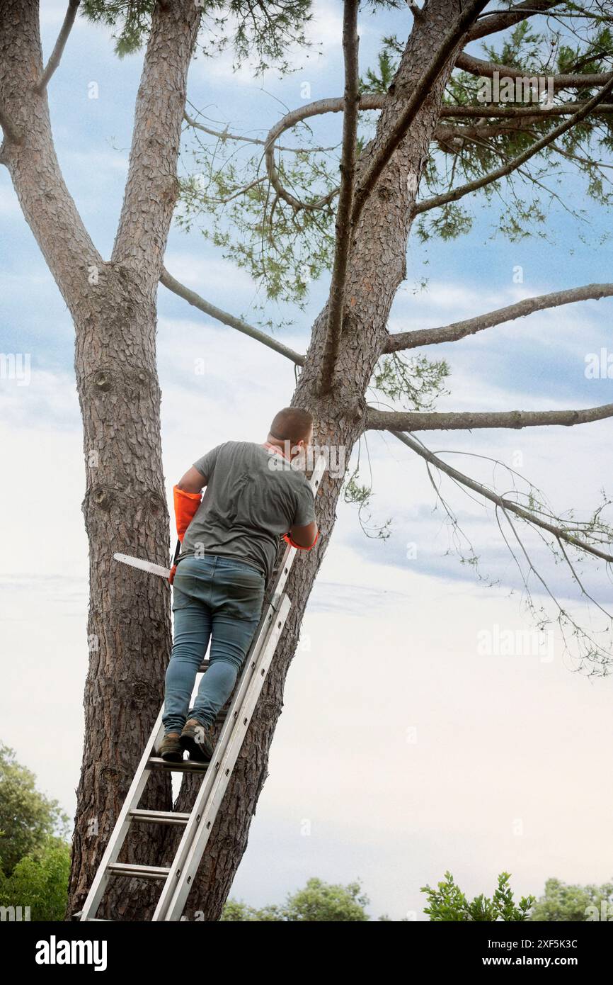 Chainsaw tree ladder man hi-res stock photography and images - Alamy