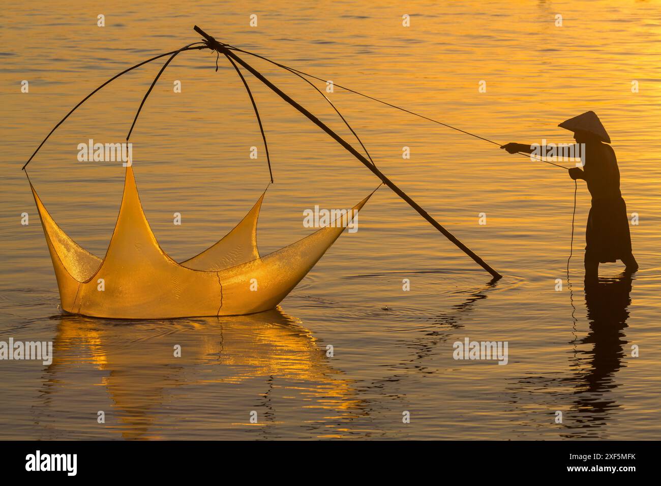 Vietnamese fisherman with traditional fishing net at sunrise on Quang ...