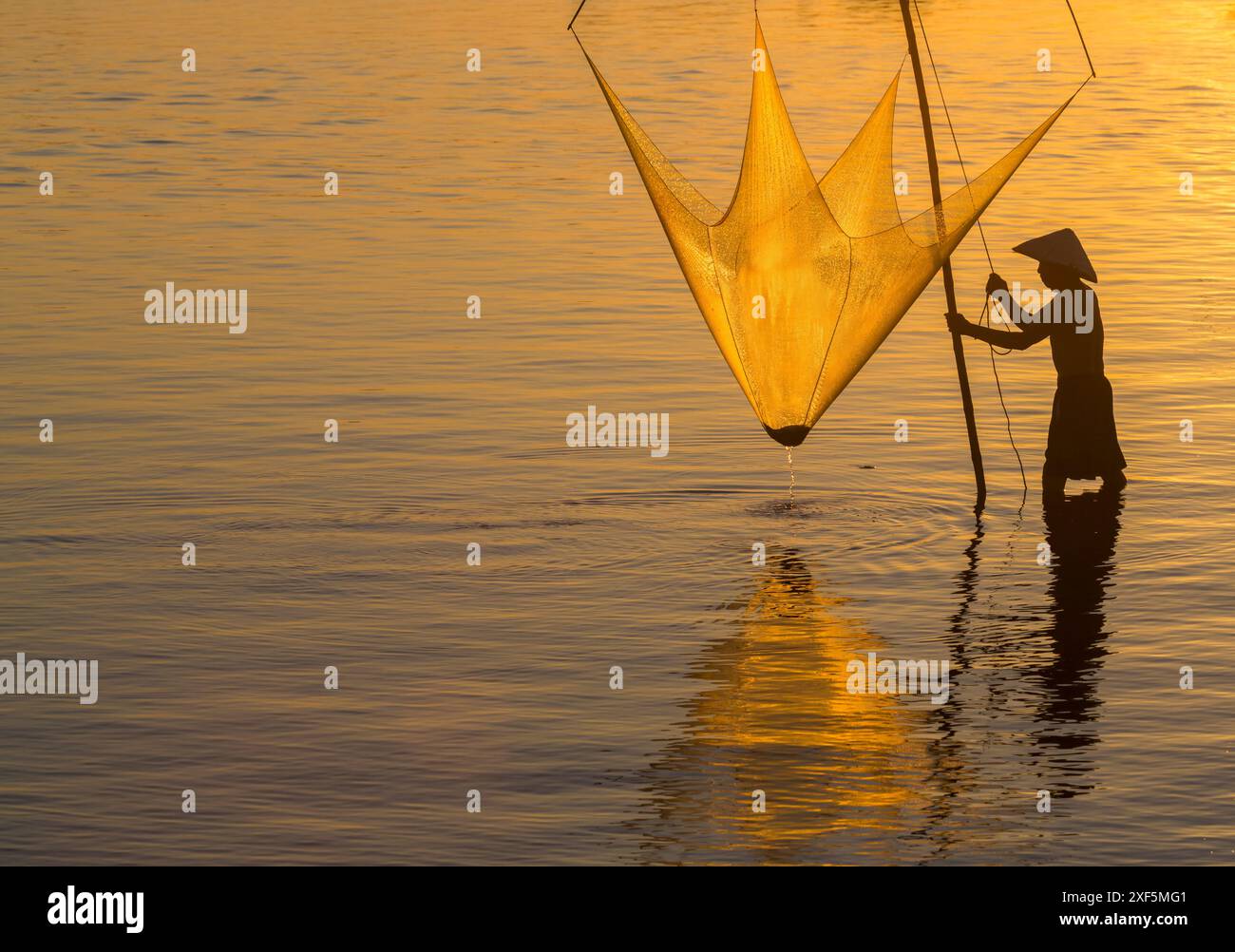 Vietnamese fisherman with traditional fishing net at sunrise on Quang ...