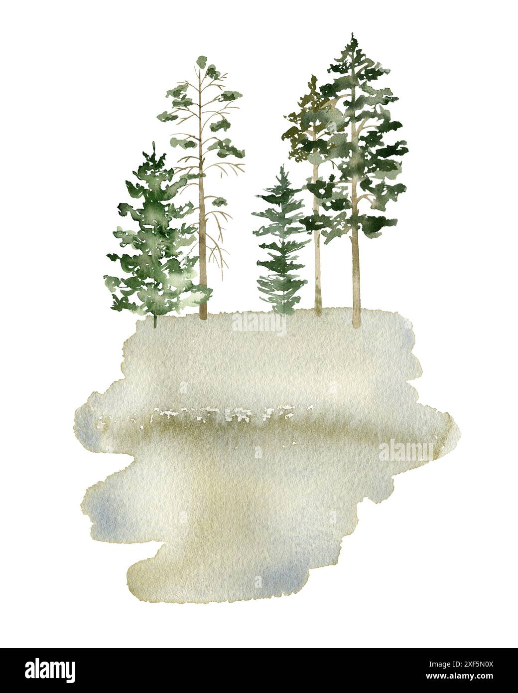 Woodland frame. Watercolor forest with trees Stock Photo - Alamy