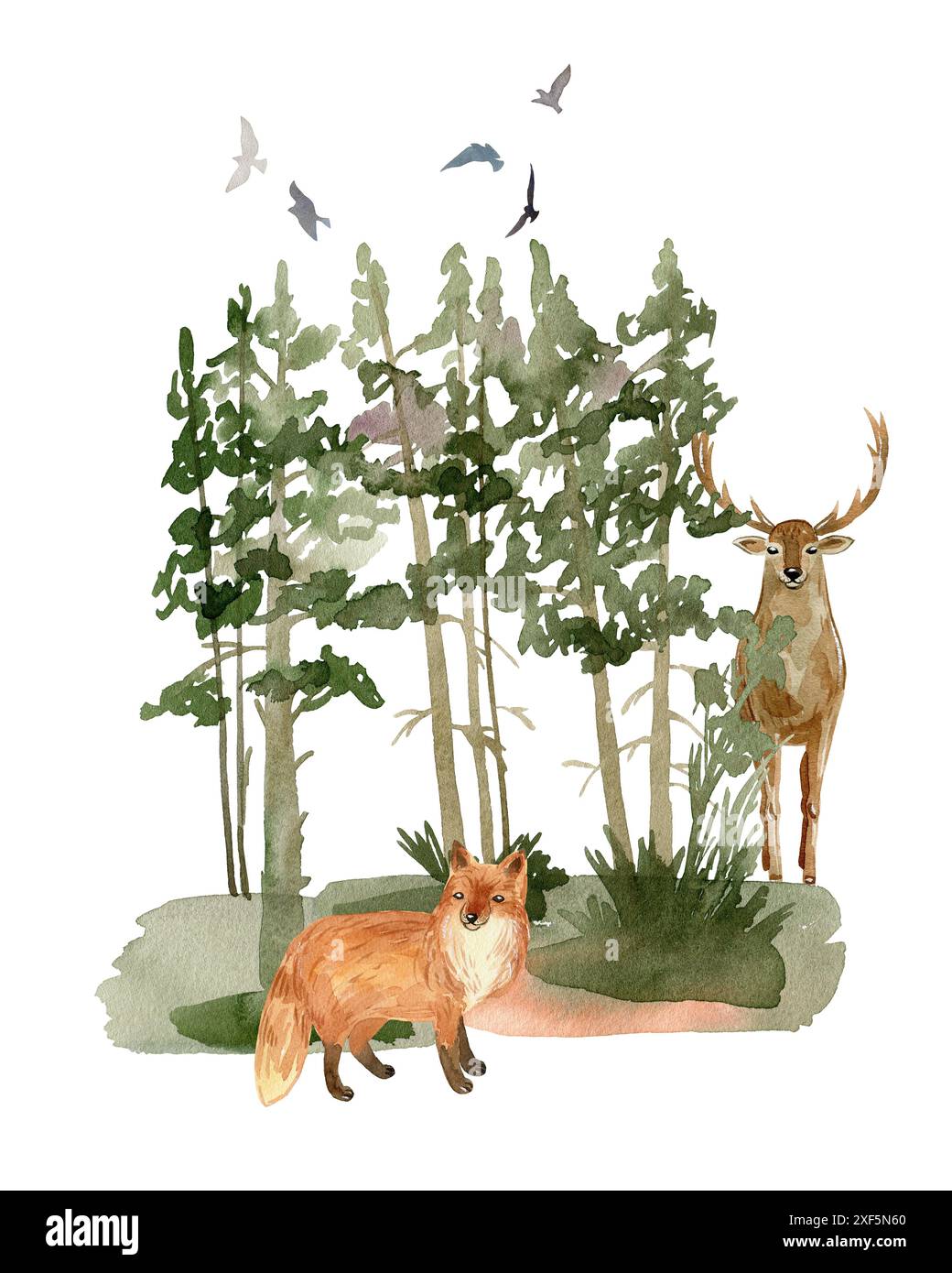 Watercolor forest with fox and deer. Woodland composition Stock Photo ...