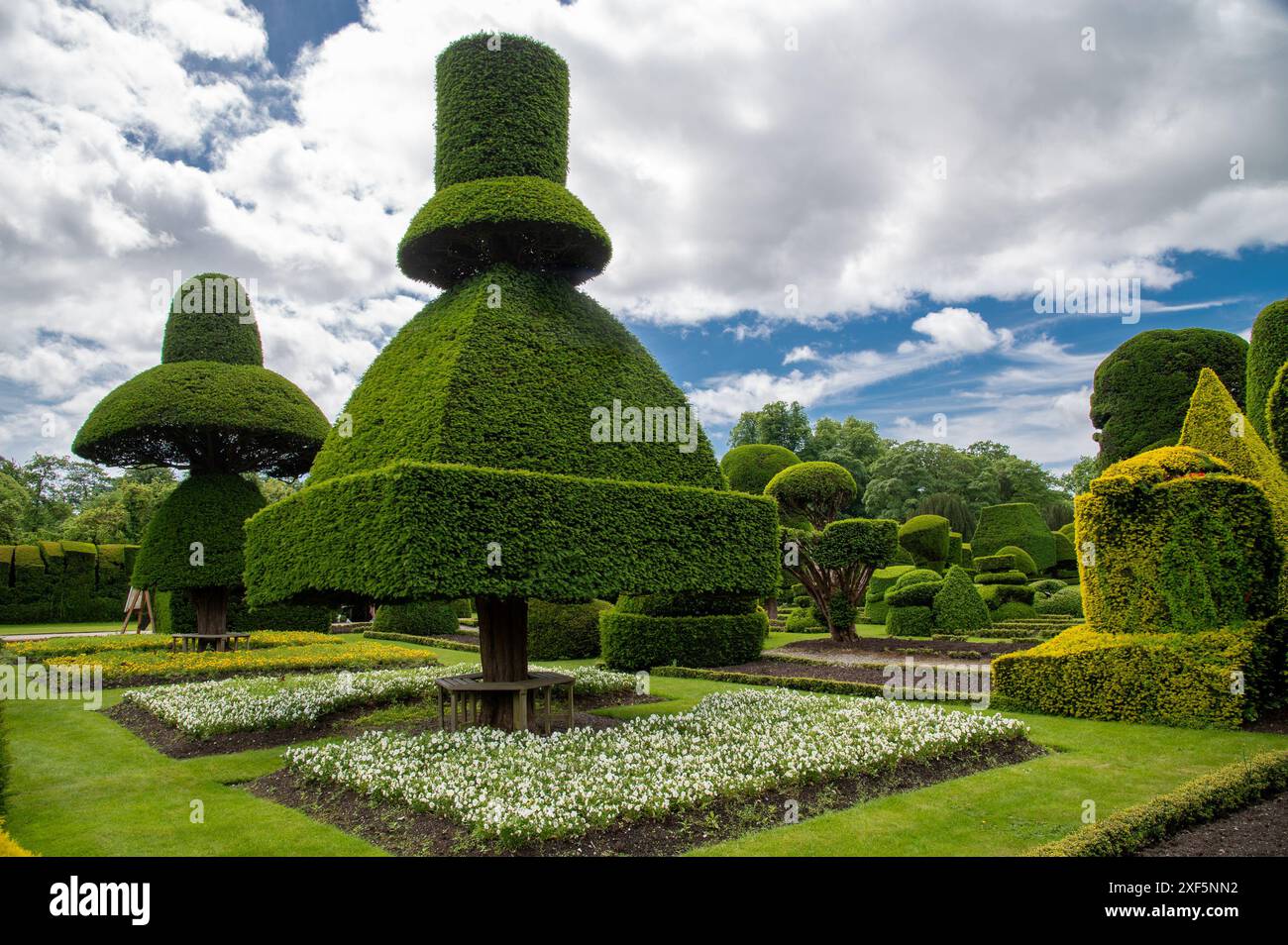 Topiary at Levens Hall, Cumbria, England UK Stock Photo - Alamy
