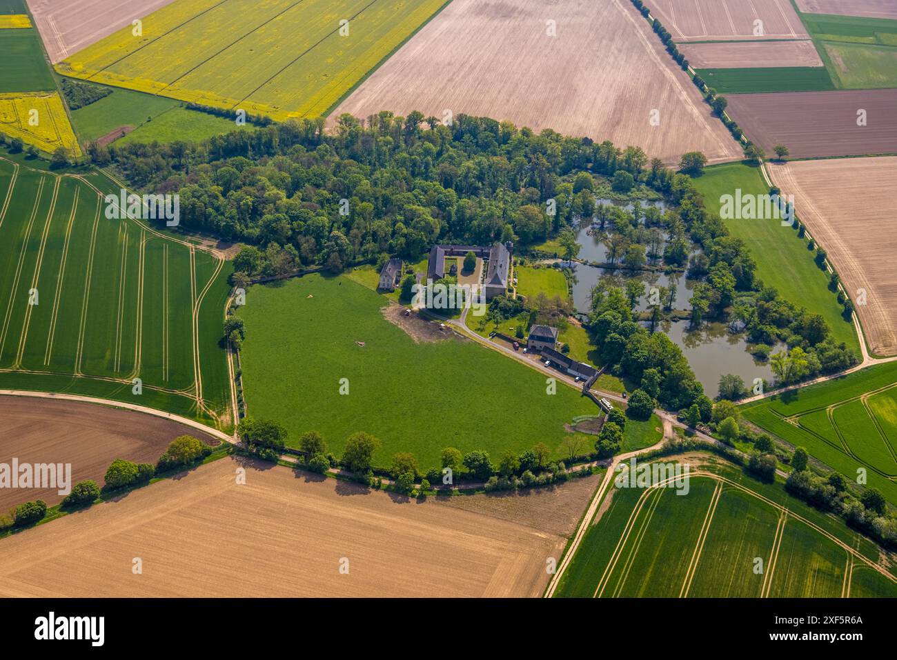 Old ponds and deciduous forest at capellen estate hi-res stock ...