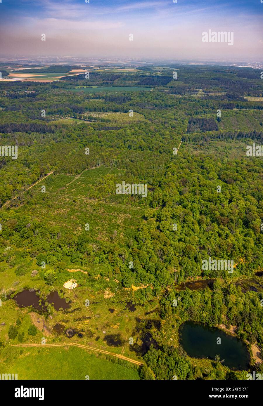 Aerial view, forest area Kottenforst, ponds gravel pit Dünstekoven ...