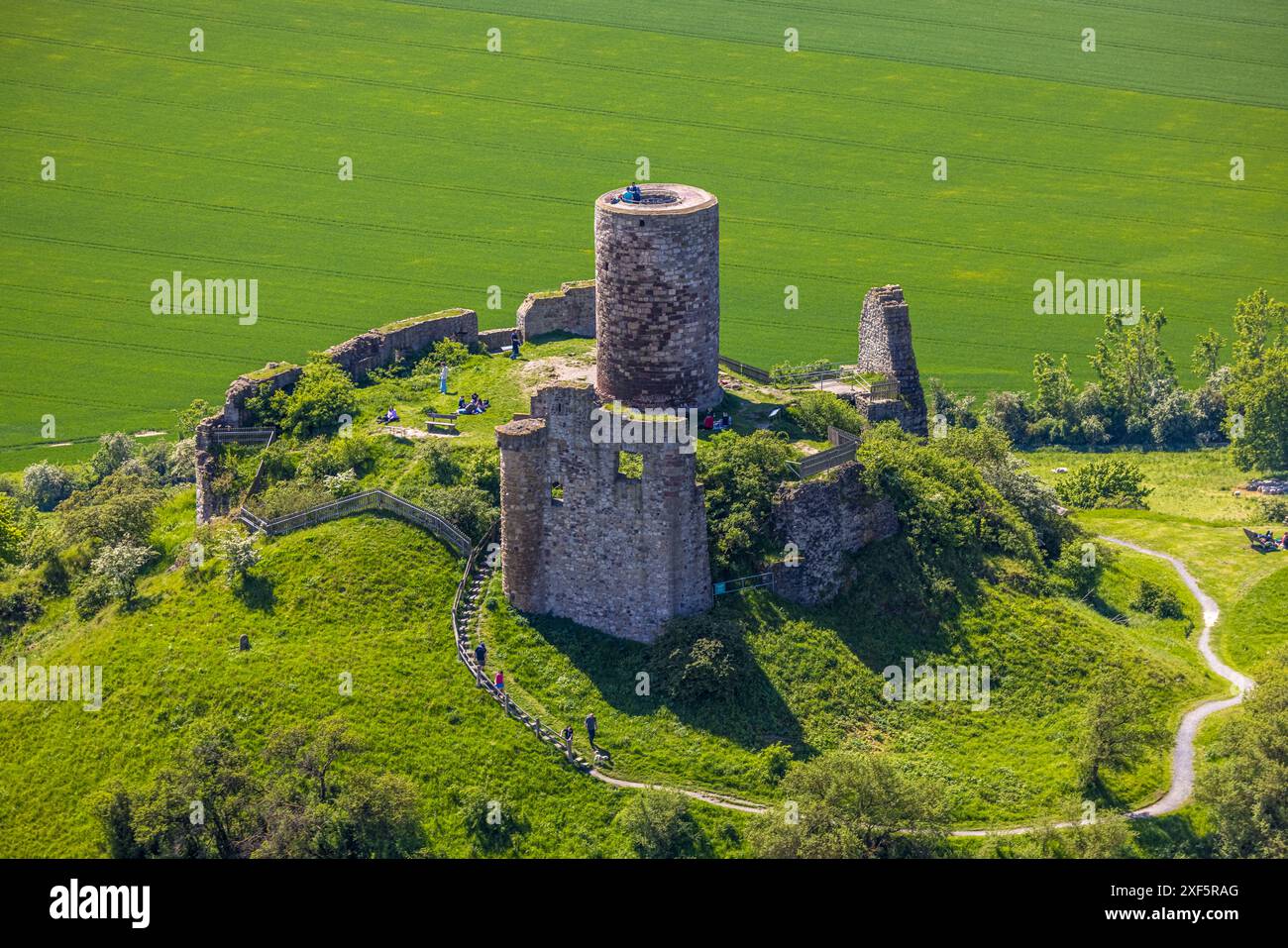 Aerial view, Desenberg Castle on a volcanic cone, historical sight ...