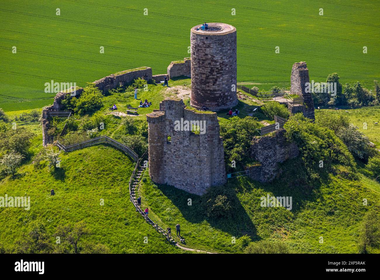 Aerial view, Desenberg Castle on a volcanic cone, historical sight ...