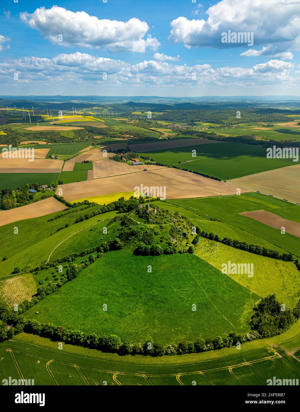 Avenue of trees in a semicircle hi-res stock photography and images - Alamy