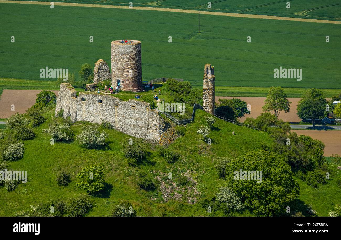 Aerial view, Desenberg Castle on a volcanic cone, historical sight ...