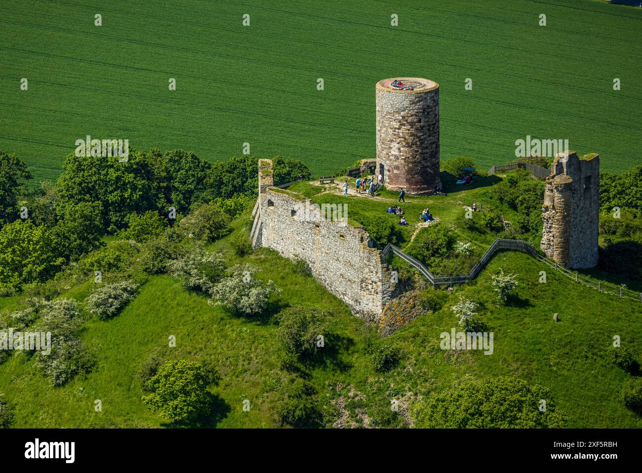 Aerial view, Desenberg Castle on a volcanic cone, historical sight ...