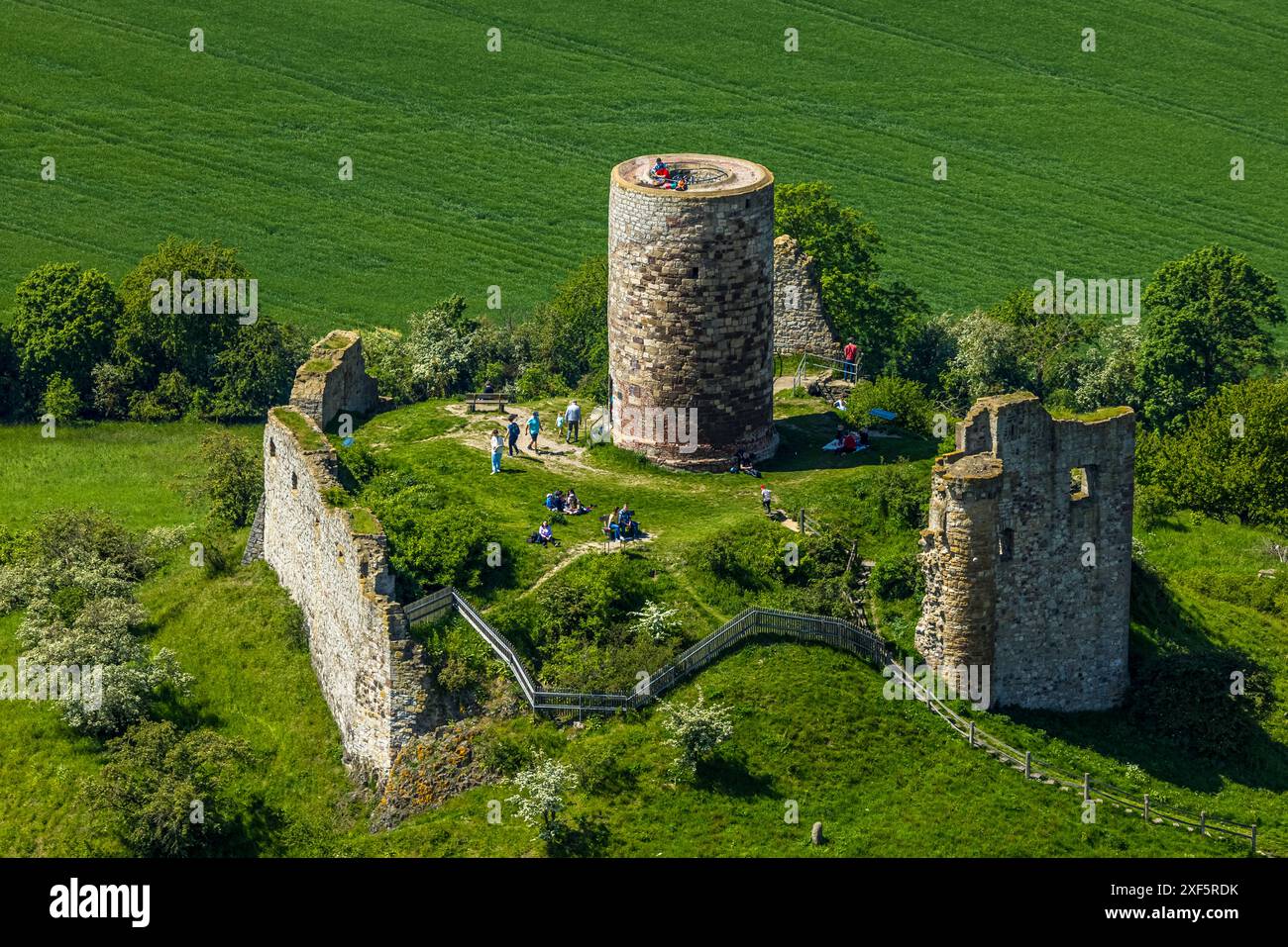 Aerial view, Desenberg Castle on a volcanic cone, historical sight ...