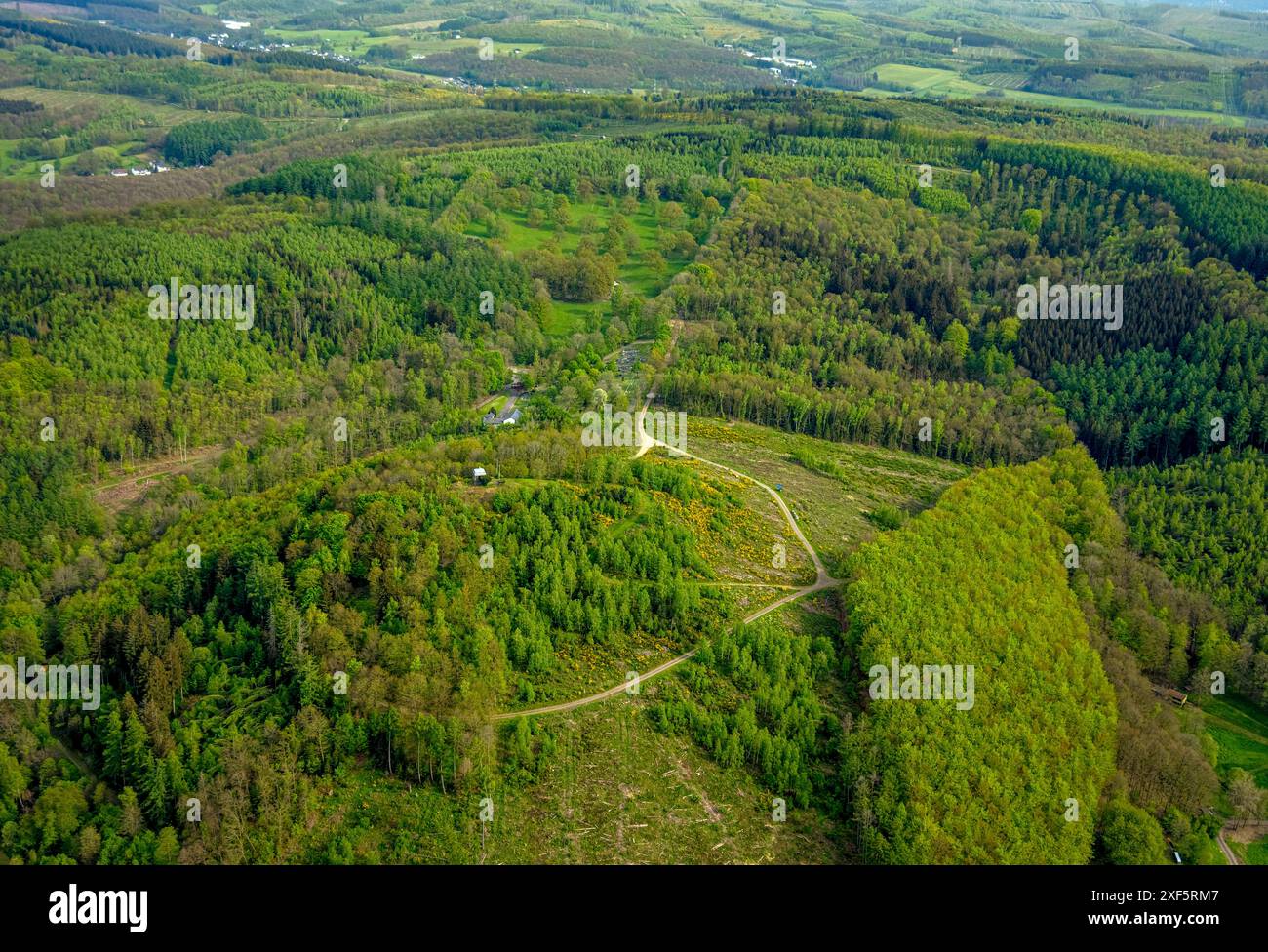 Aerial view, hilly landscape forest area with forest damage, world war ...