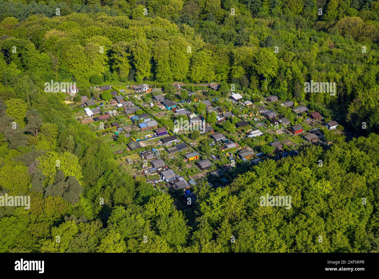 Wald harkortberg hi-res stock photography and images - Alamy