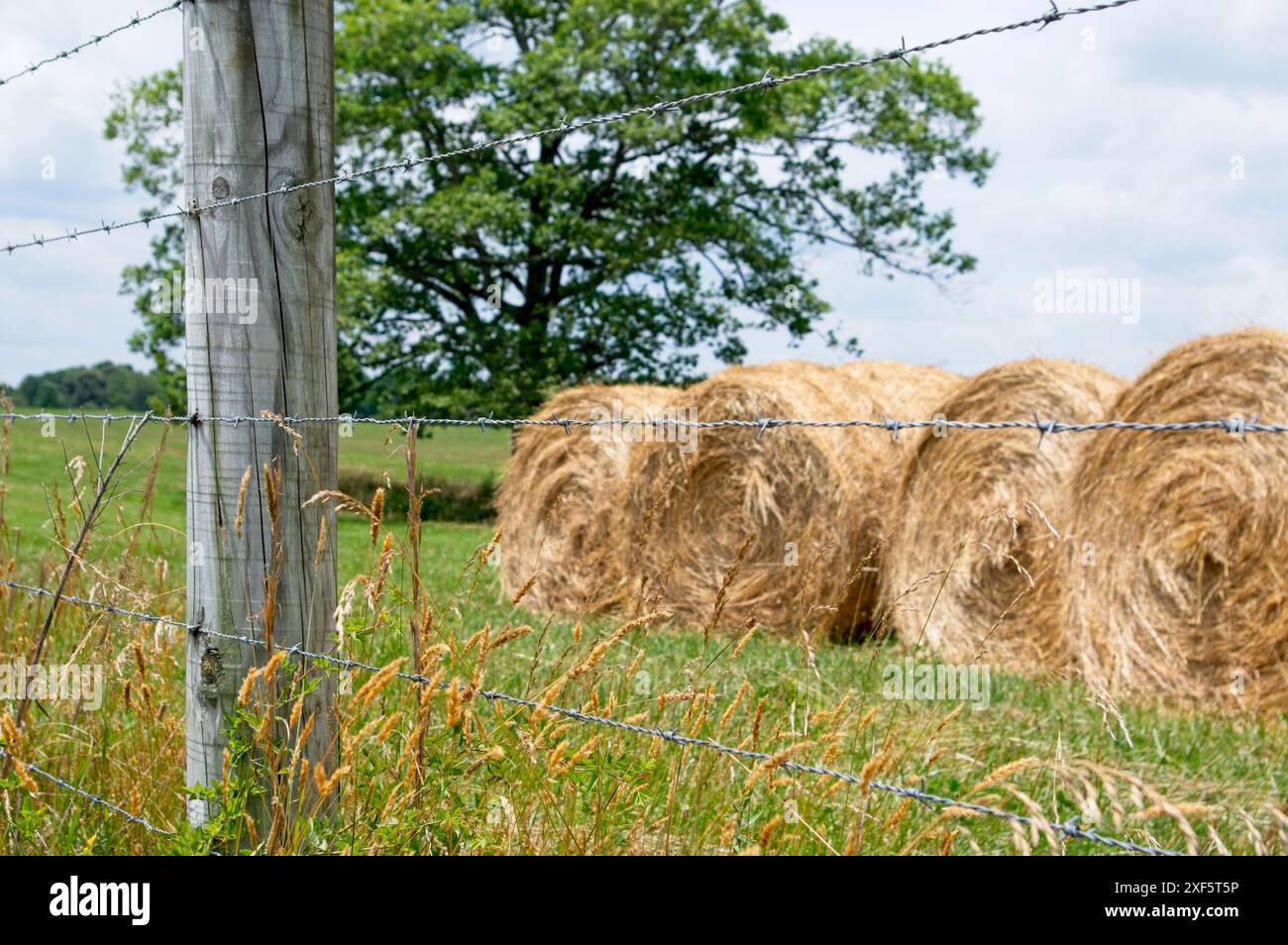 Wood fence post close up on a background of rolled hay Stock Photo - Alamy