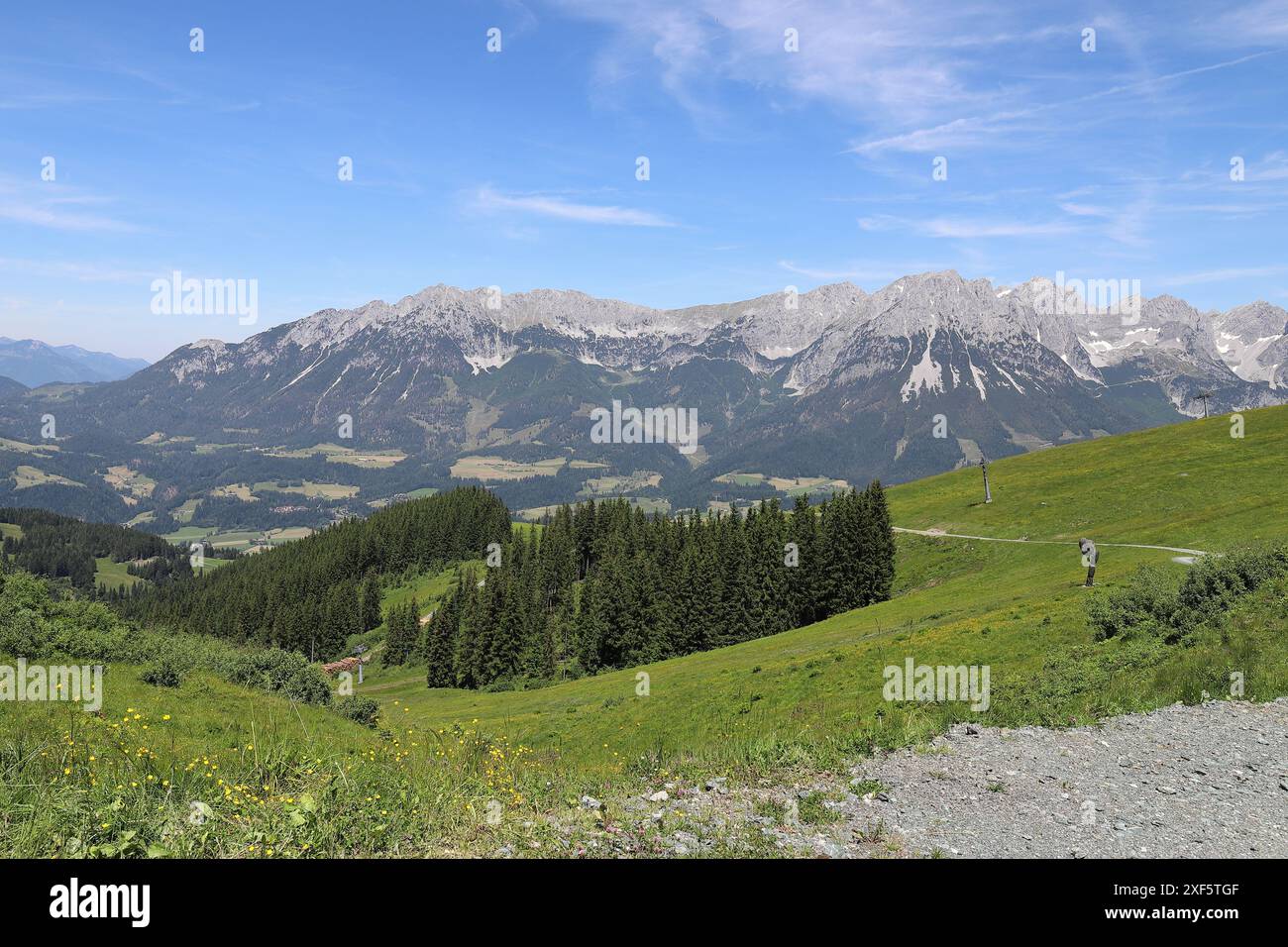 Wide-angle view of the Wilder Kaiser region with a small forest in the ...