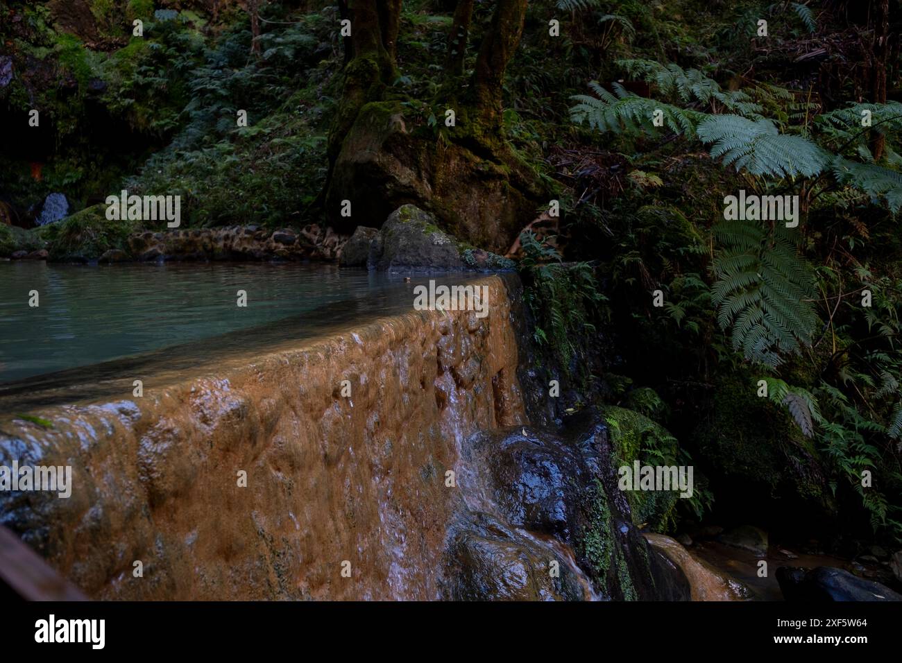 Caldeira Velha, Natural Hot Springs. Ribeira Grande, Sao Miguel island ...