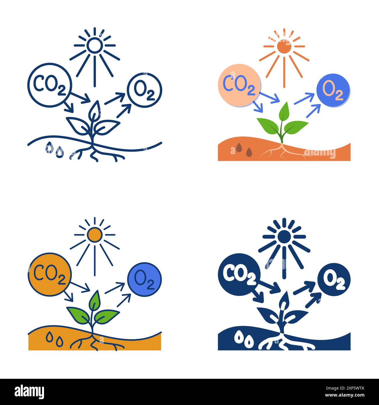 Photosynthesis process icon set in flat and line style. Conversion of ...