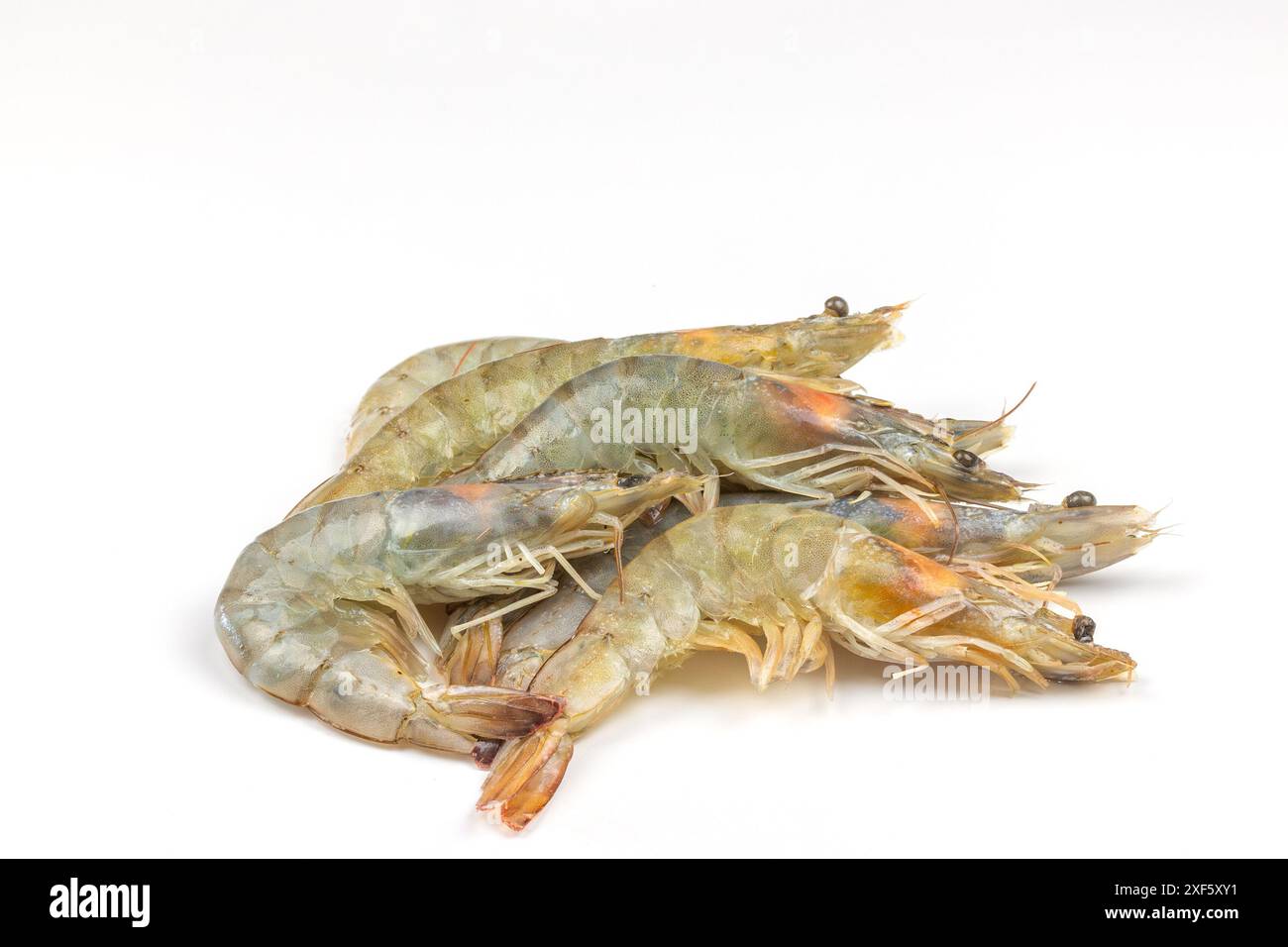 raw shrimp, close-up, isolated on a white background Stock Photo - Alamy