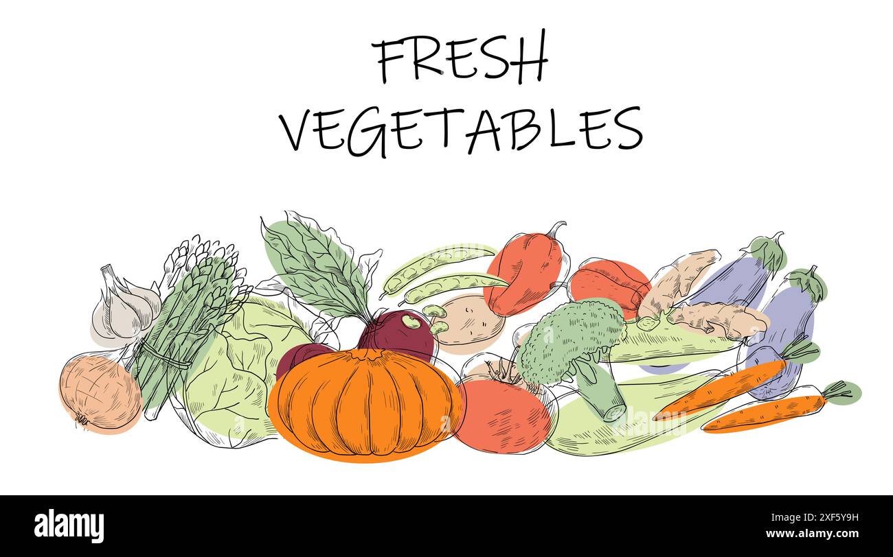 Composition hand drawn colored Stock Vector Images - Alamy